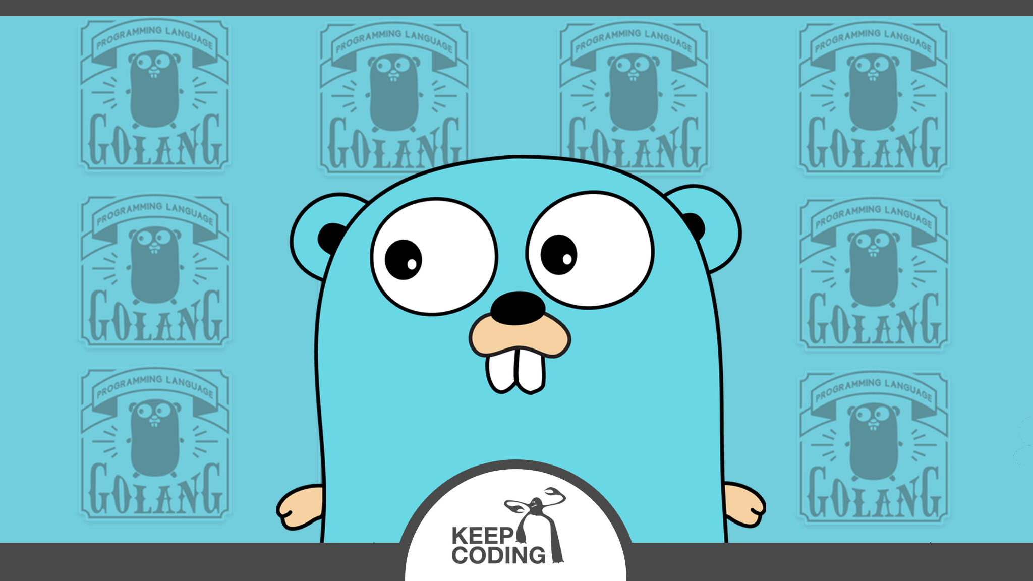 Lenguaje de programación Go y sus características.