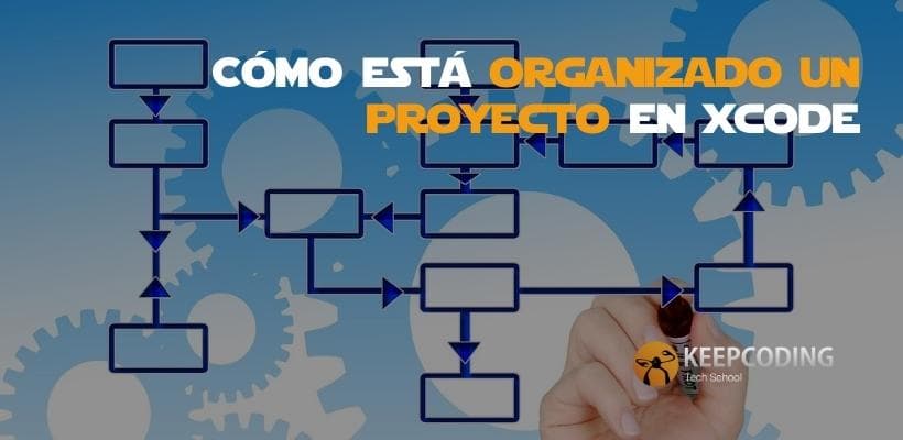 Cómo está organizado un proyecto en Xcode