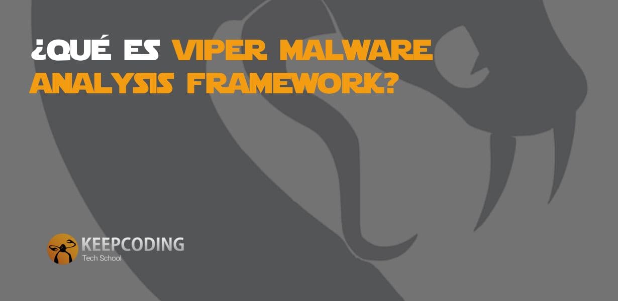 Viper Malware Analysis Framework: ¿qué es y cómo funciona?