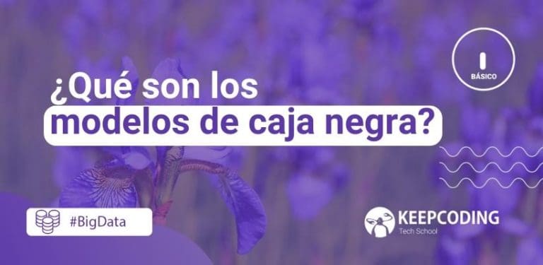 ¿Qué son los modelos de caja negra? | KeepCoding Bootcamps