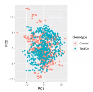¿Cómo aplicar PCA al dataset de proteínas? | KeepCoding