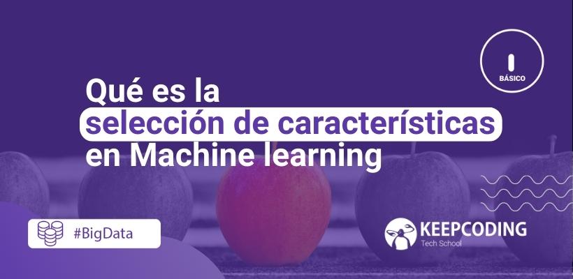 Qué es la selección de características en machine learning