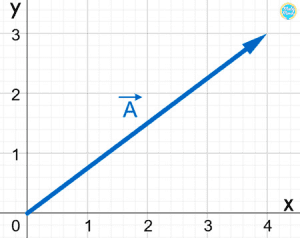 Tipos de vectores | KeepCoding Bootcamps