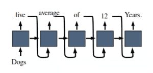 Redes neuronales recurrentes: qué son y cuáles son sus usos