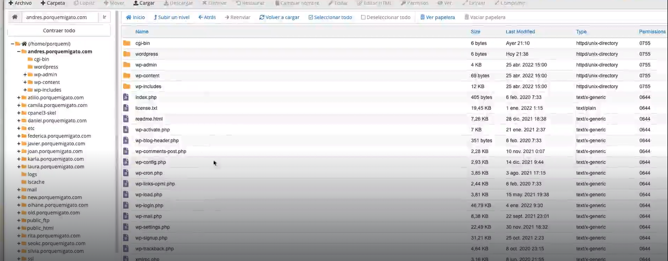 Preparar bases de datos en cPanel [Guía 2025] | KeepCoding