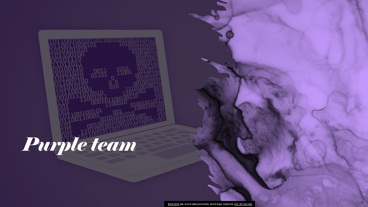 Equipos en ejercicios de hacking: 4 categorías importantes
