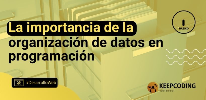 Organización de datos en programación: Importancia