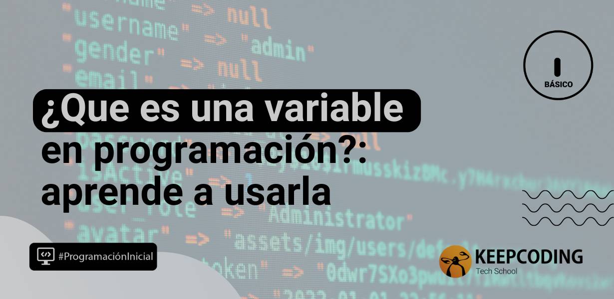 Variable en programación: aprende todo sobre su uso
