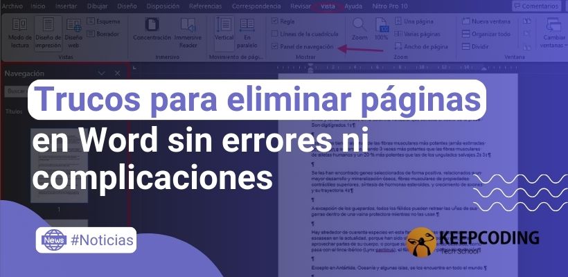 ¿Cómo eliminar páginas en Word? Trucos que no sabías